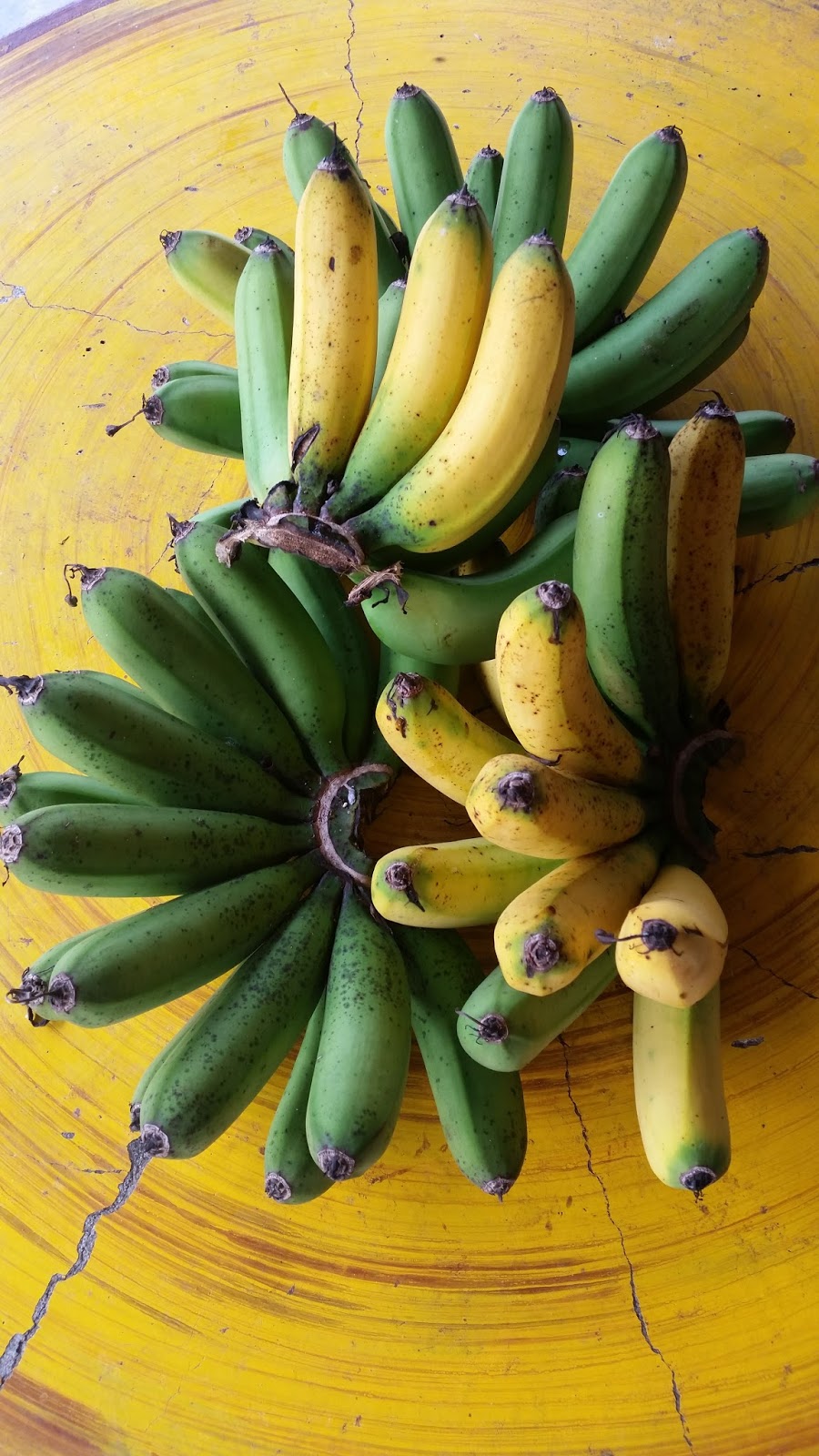 Warisan Petani: Tanaman Pisang 6 : Pokok Pisang Berangan