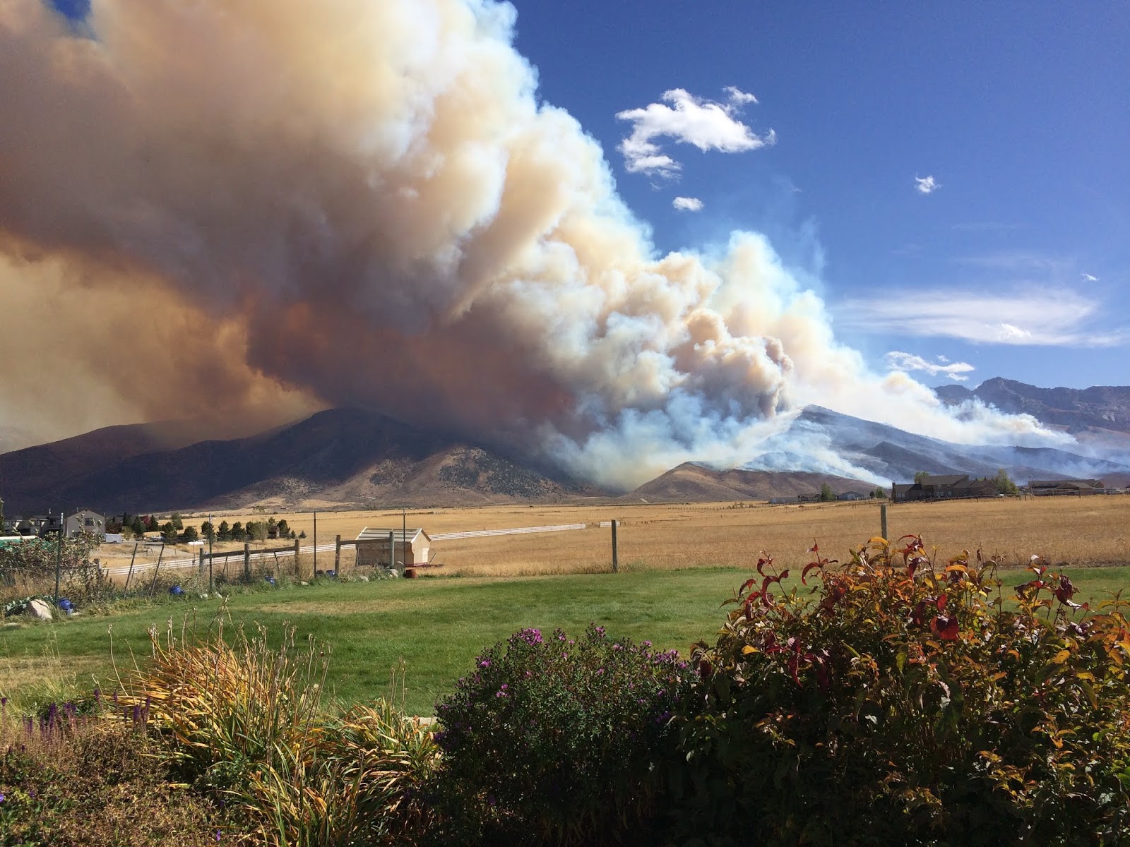 Ruby Mountain Trails
