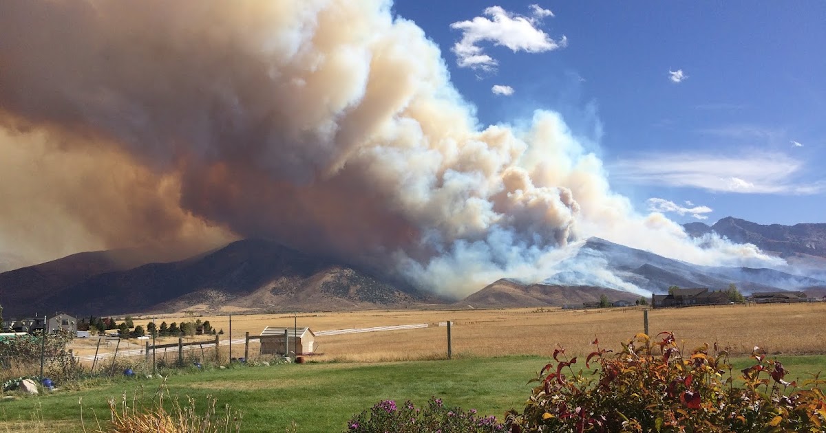 Ruby Mountain Trails: The Lamoille Canyon fire, a year later