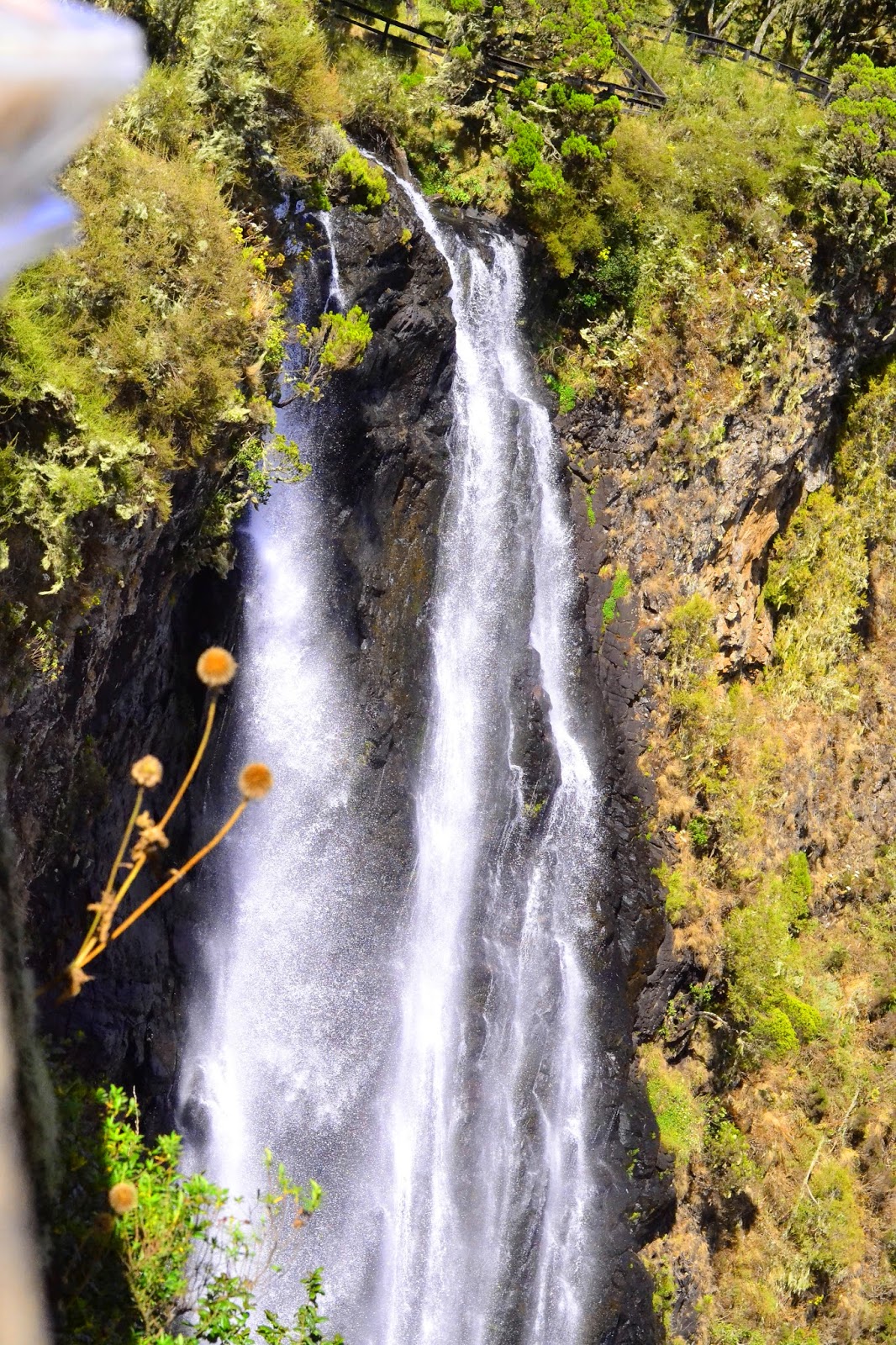 It's Wamũyũ.: Karuru Falls - Aberdare National Park (07-02-2015)