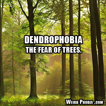 Every Day is a Gift: More About Trees