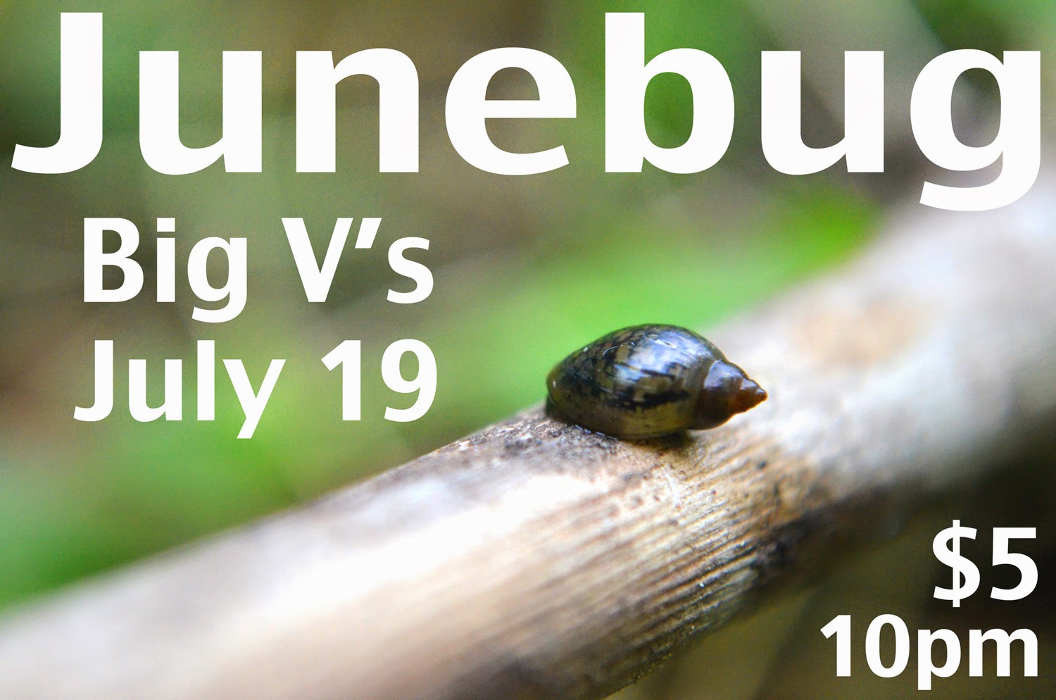 Junebug Show Diaries