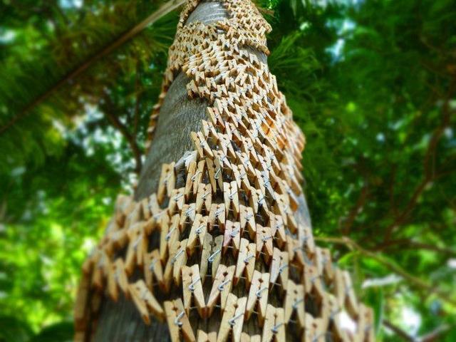 Gerry-Stecca, árbol pret a porter - Nomada Q