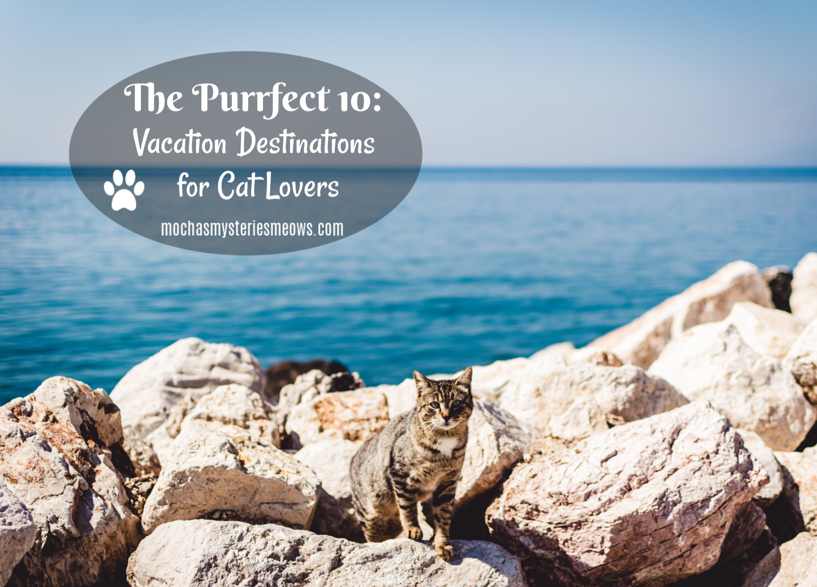 Melissa's Mochas, Mysteries and Meows: The Purrfect 10: Vacation ...
