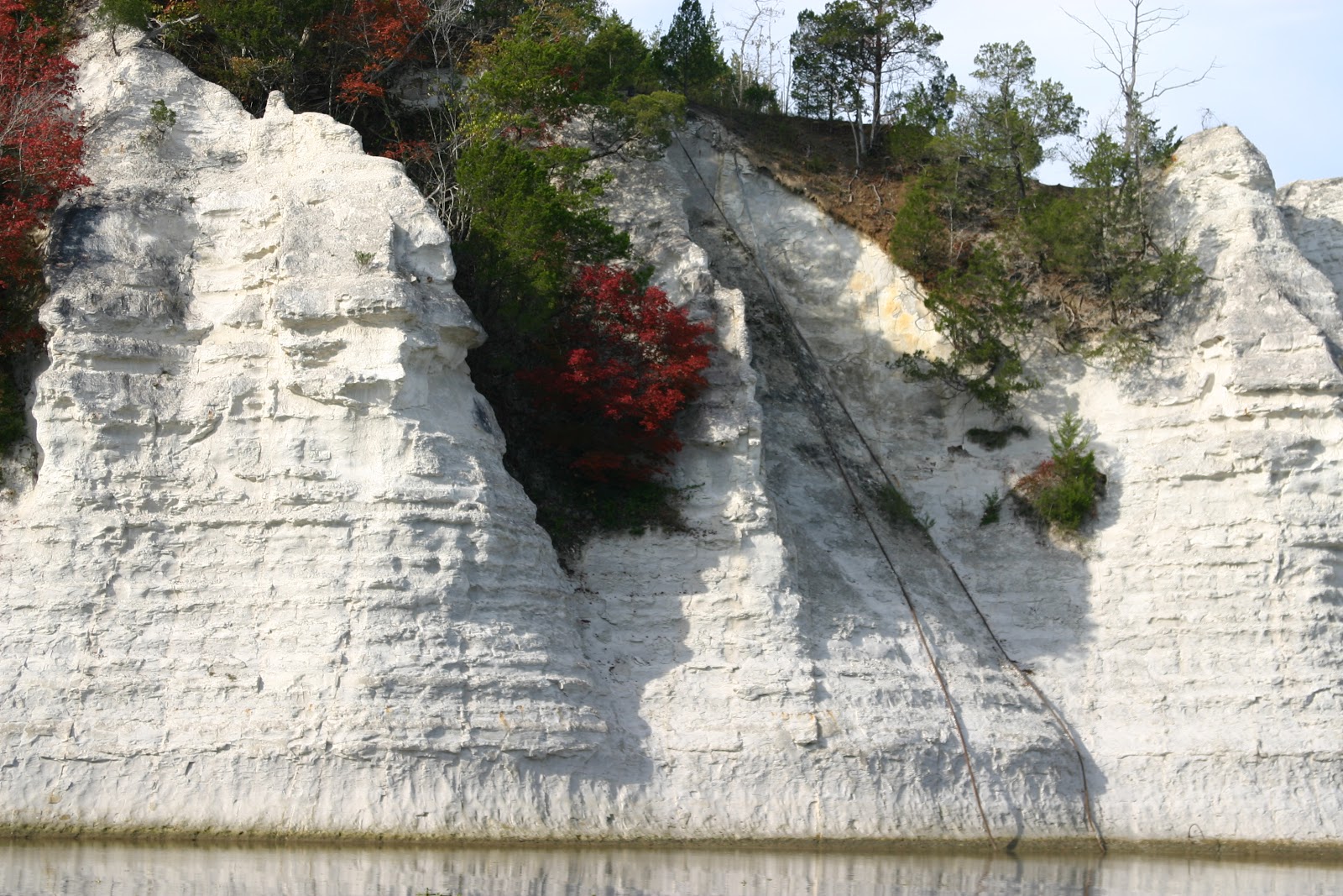 2 Loopers And A Portie