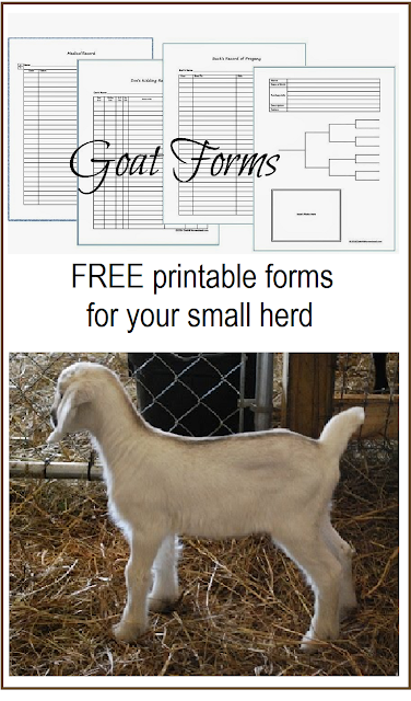 Recordkeeping on the Homestead: Goat Records (including free printables ...