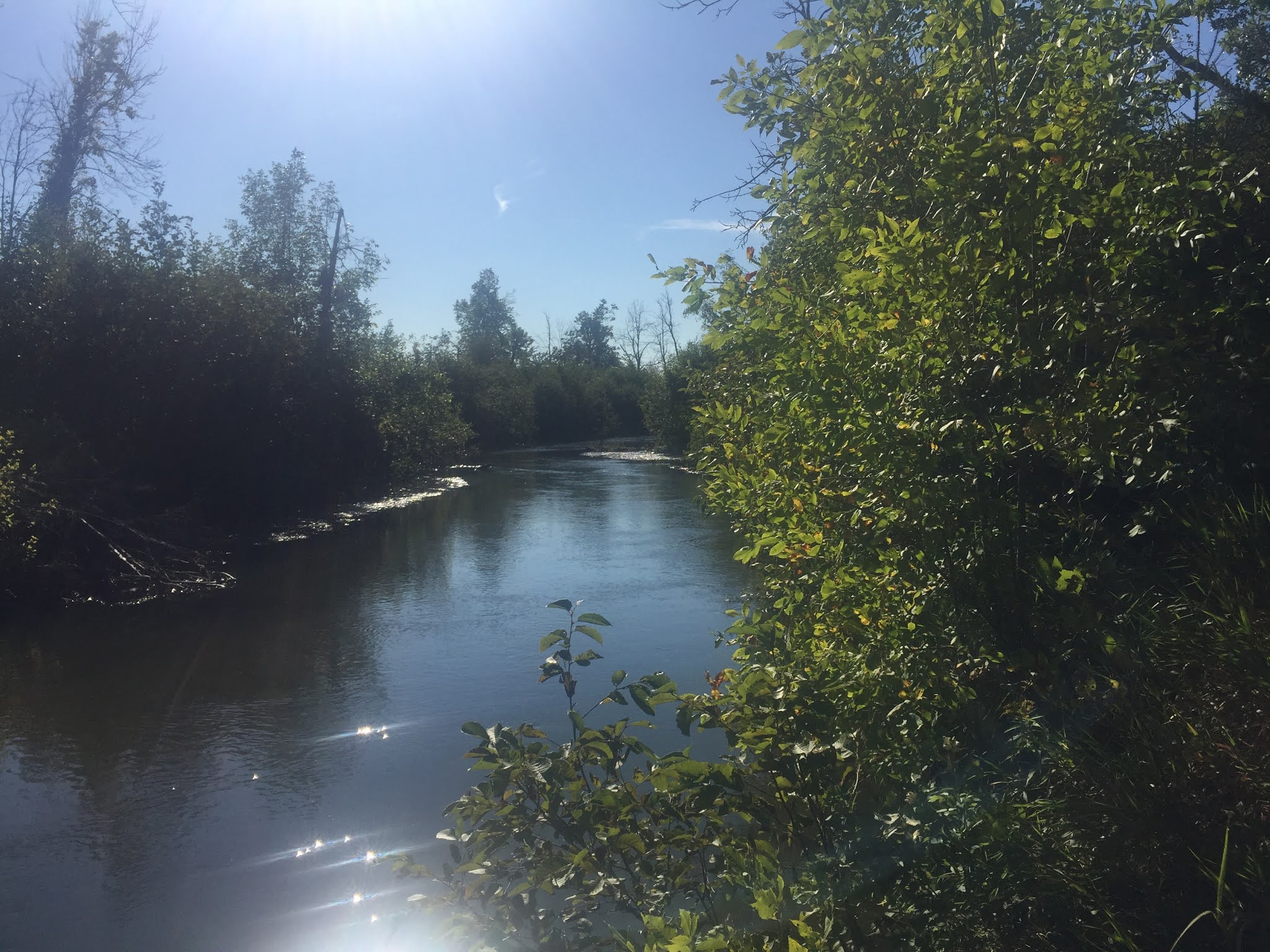 Travel Reviews & Information: Northeast Lower Michigan: Rifle River ...