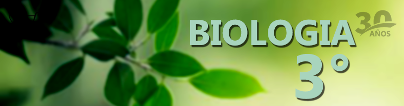 Plataforma ECB: Biología 3°