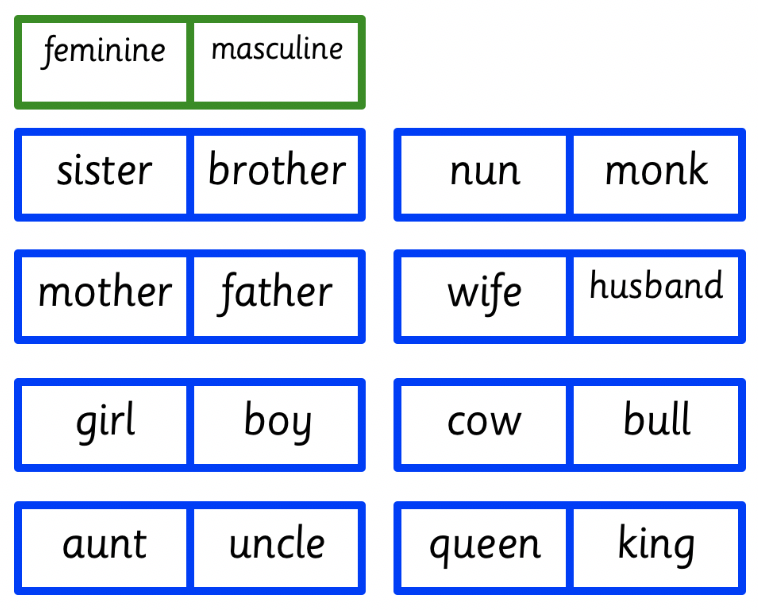 Montessori AMI 3 to 6: WORD STUDY: DIFFERENT WAYS OF FORMING PLURALS
