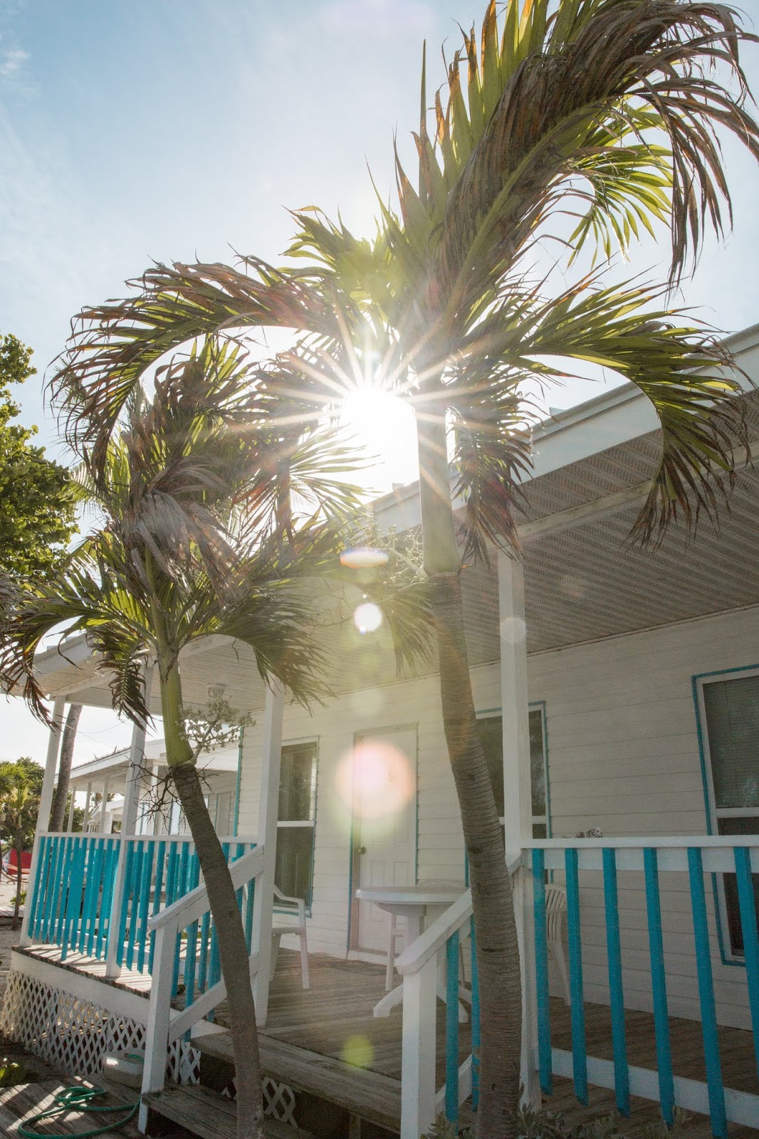 Alice Gostick: Things to do in Grand Cayman - Visit Little Cayman