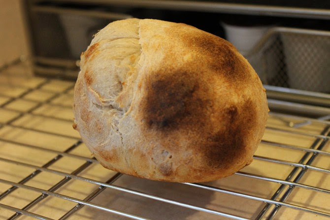 Pizza Thursdays — White Pizza with Home Made Mozzi-cotta