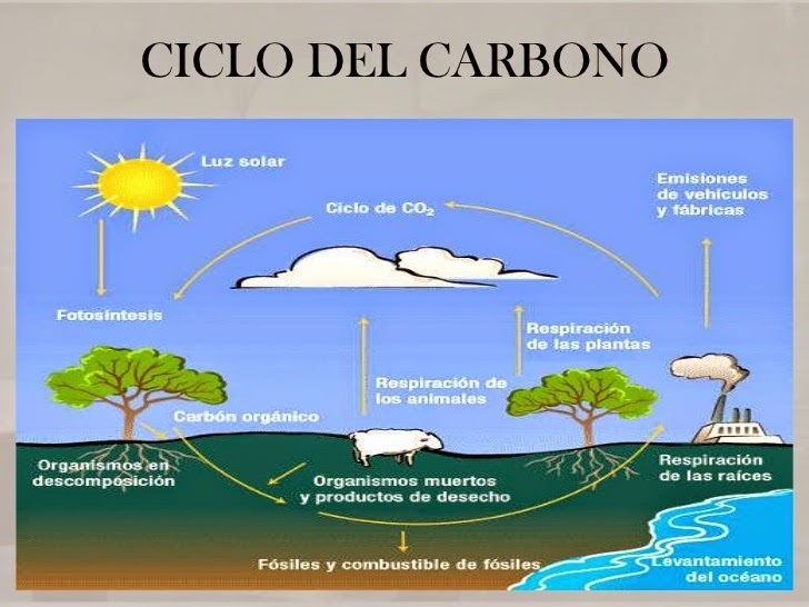 CICLOS ATMOSFERICOS