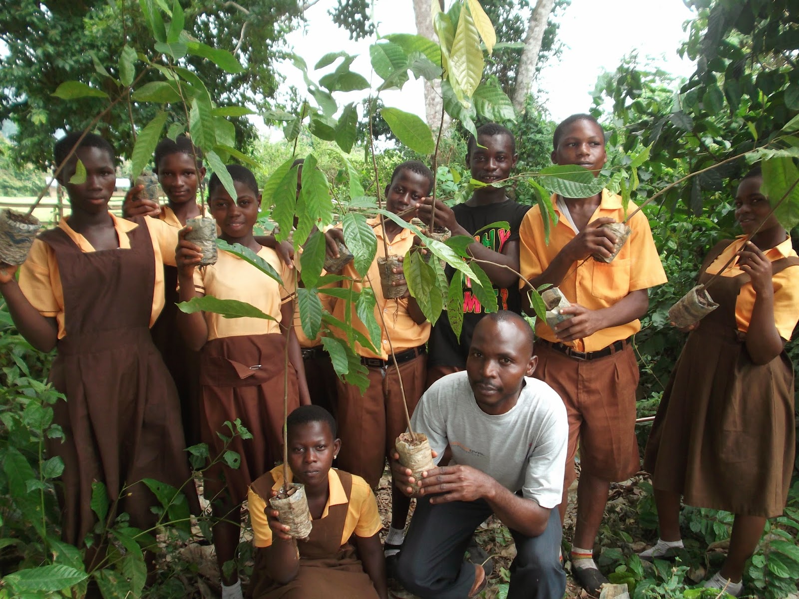 4-H Million Trees Project- Ghana: Planting Cocoa Trees for a ...