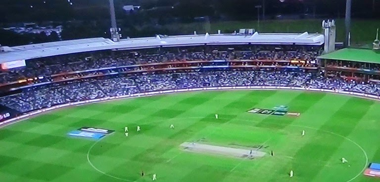 Who Will Win The Cup?: CWC15 LIVE - Aus Score 328, 20 runs many or 20 ...