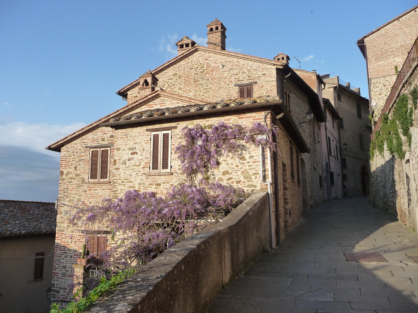 Live Pronto!: Some Panicale Love