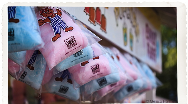 Wee Care: Kids Adventures: The Fair at the PNE