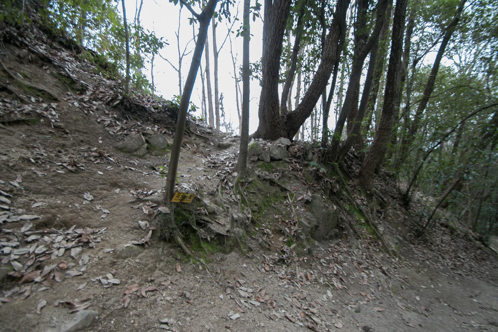 Niitakayama Castle -Intellectual pillar of Mouri clan (2)- | Japan ...