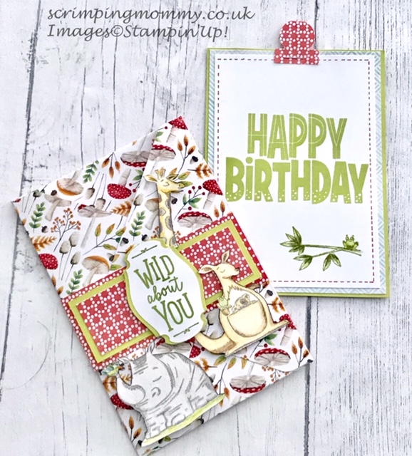 scrimpingmommy: Fun envelope pull out card, Annimal outings