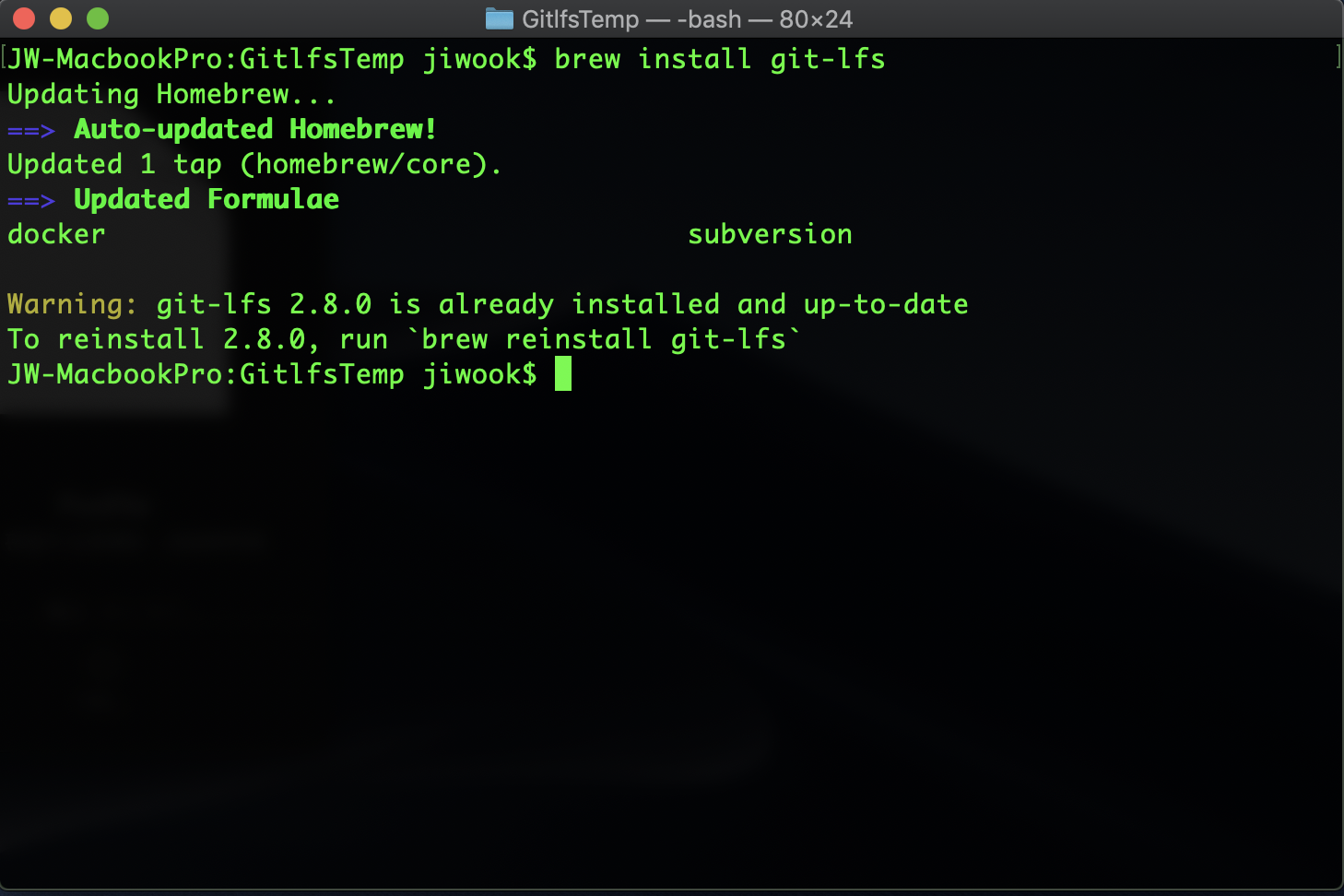 How to install git lfs on windows - sensegse