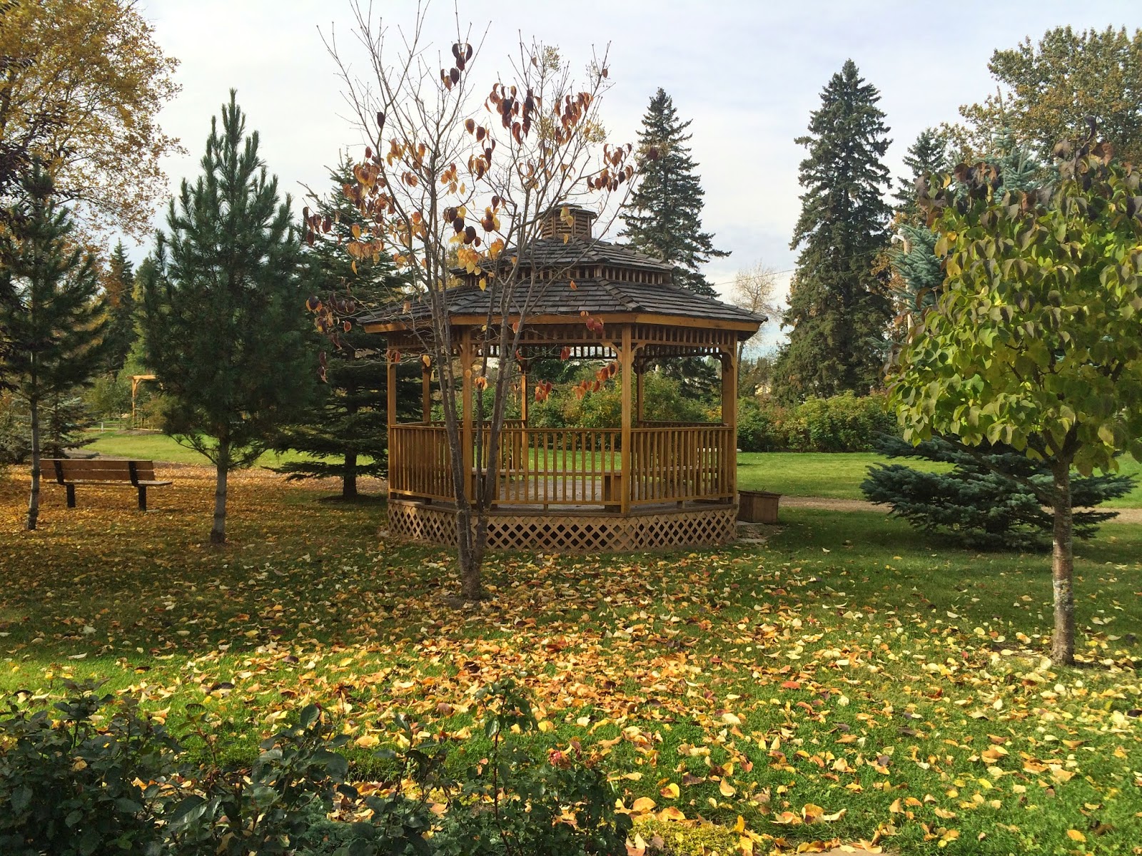 LIVING THE GARDENING LIFE: St. Albert Botanical Park - a gem in the ...