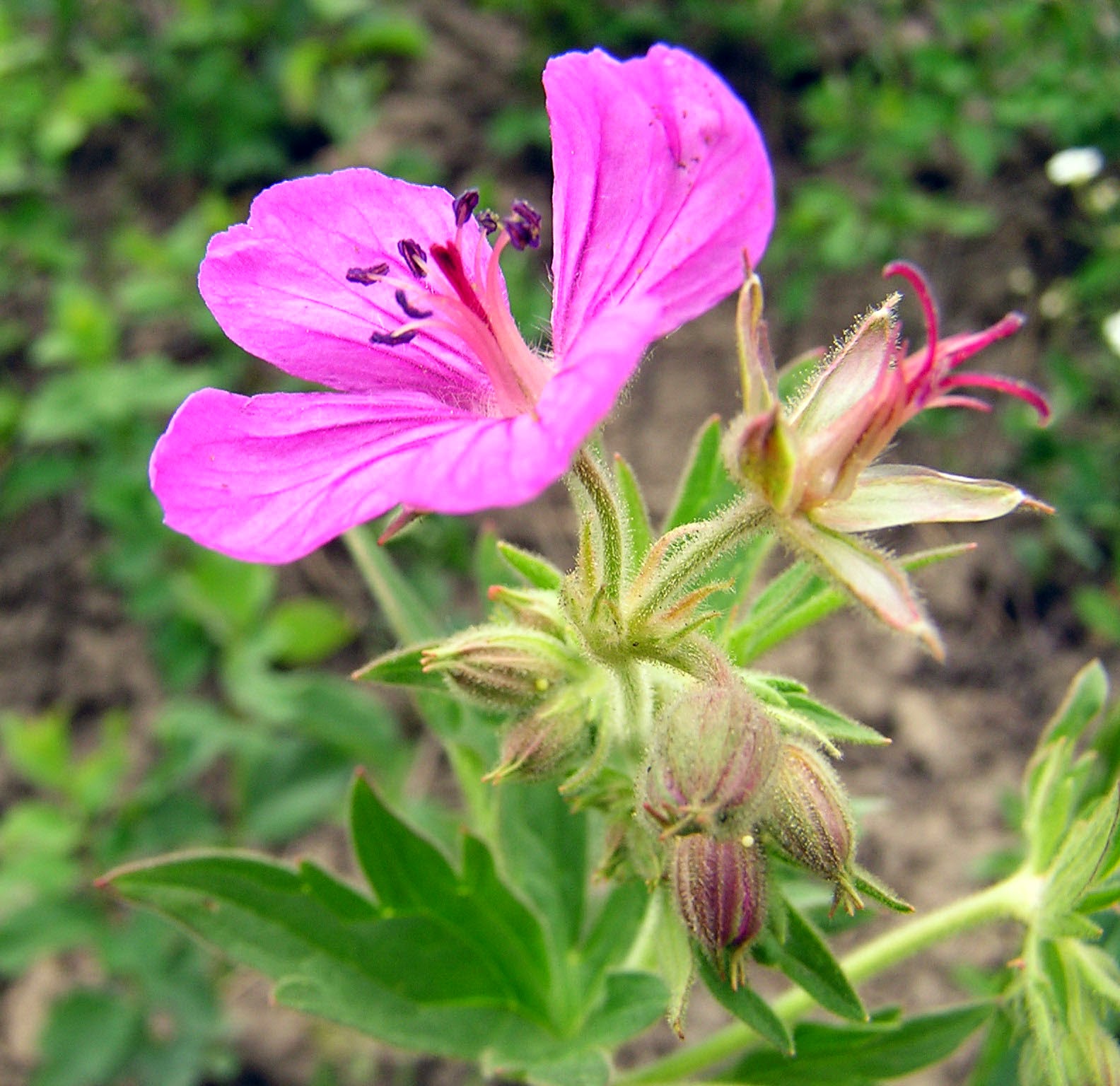 Nan Weber's Musings: 2014