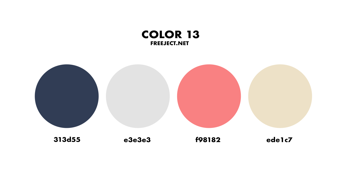 Color Palette PNG - 4 Color Combinations
