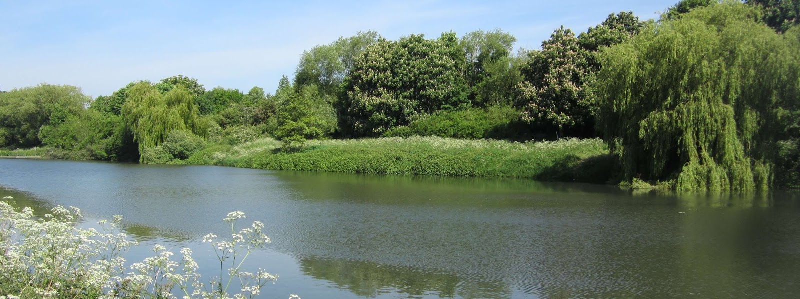 Walking The Peak: Highfields Country Park and Brodsworth Community ...