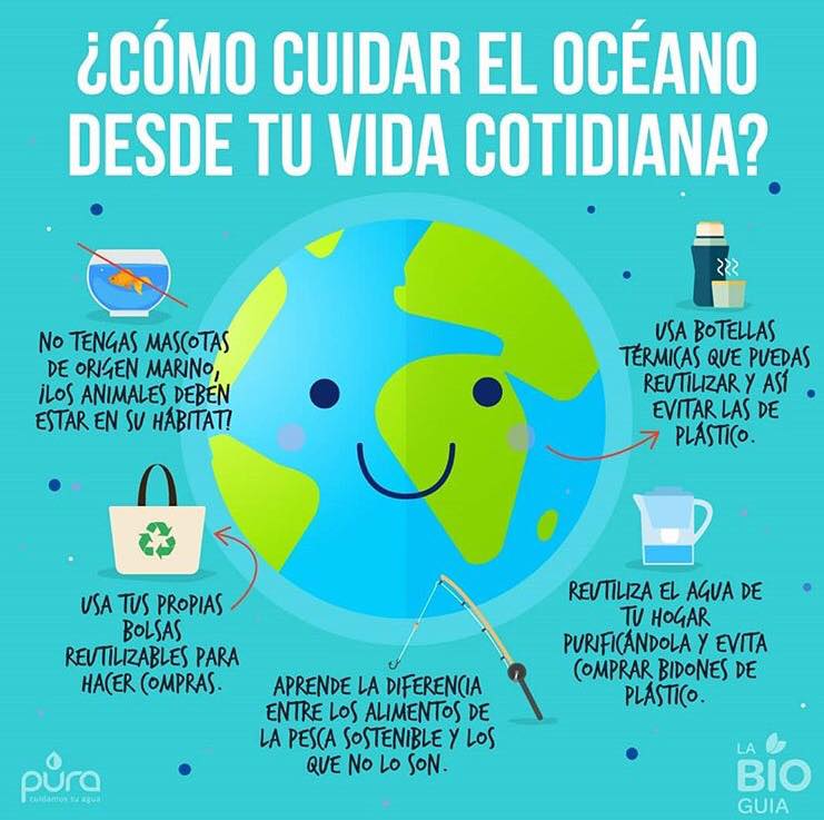 Biologia Marina Contaminacion En El Mar