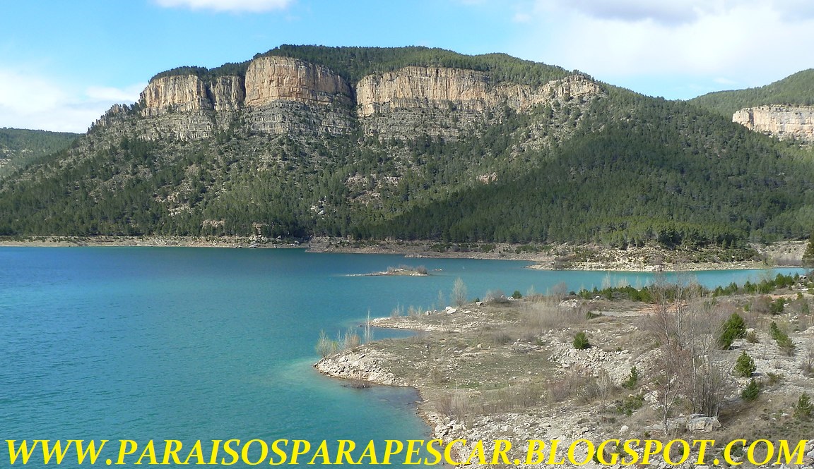 PARAÍSOS PARA PESCAR: EMBALSE DE ARENOSO