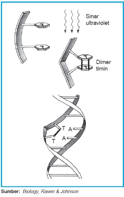 Beautiful World--- ^_^: GENETIKA