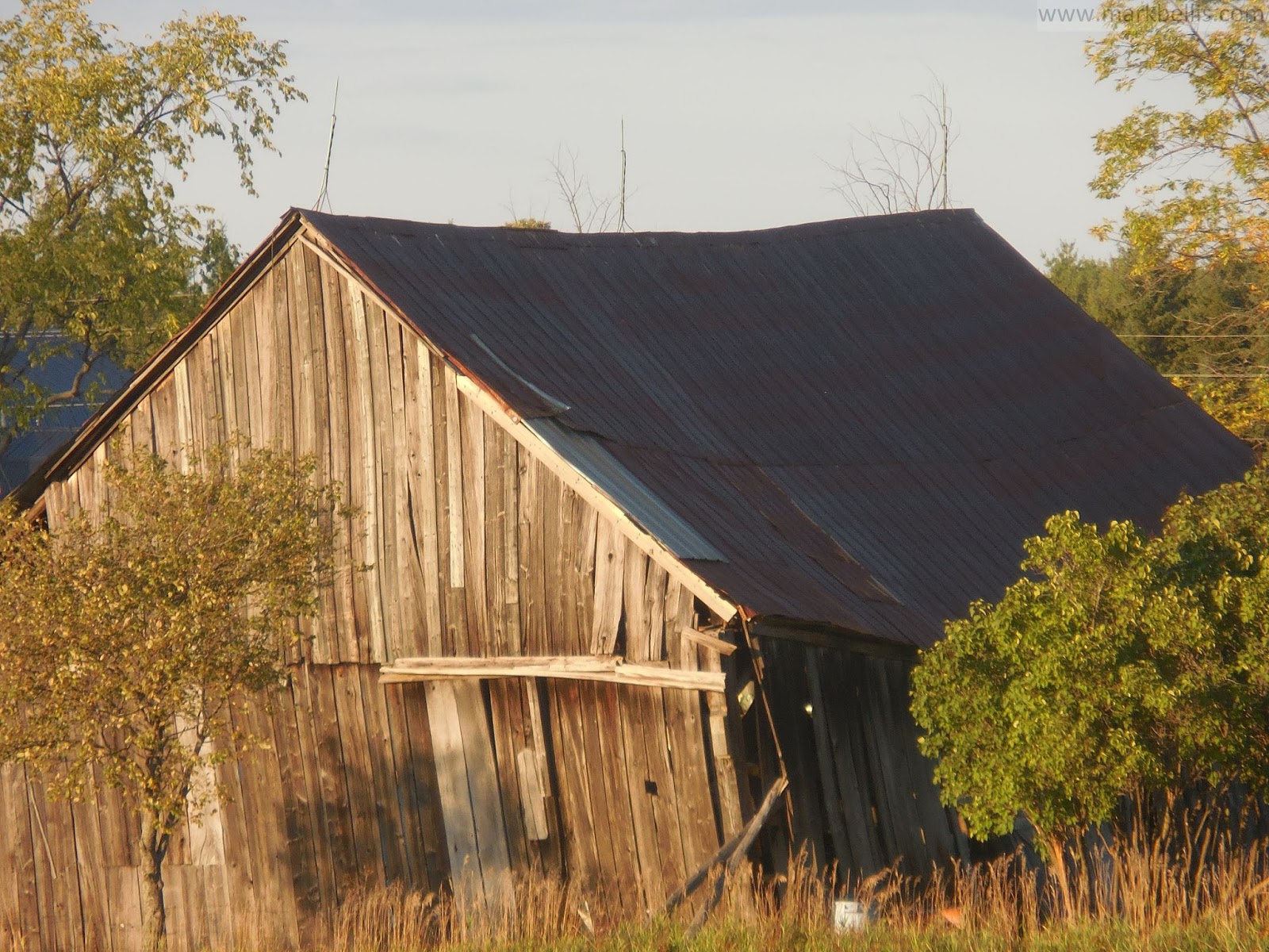 Mark Bellis: Falling down barn