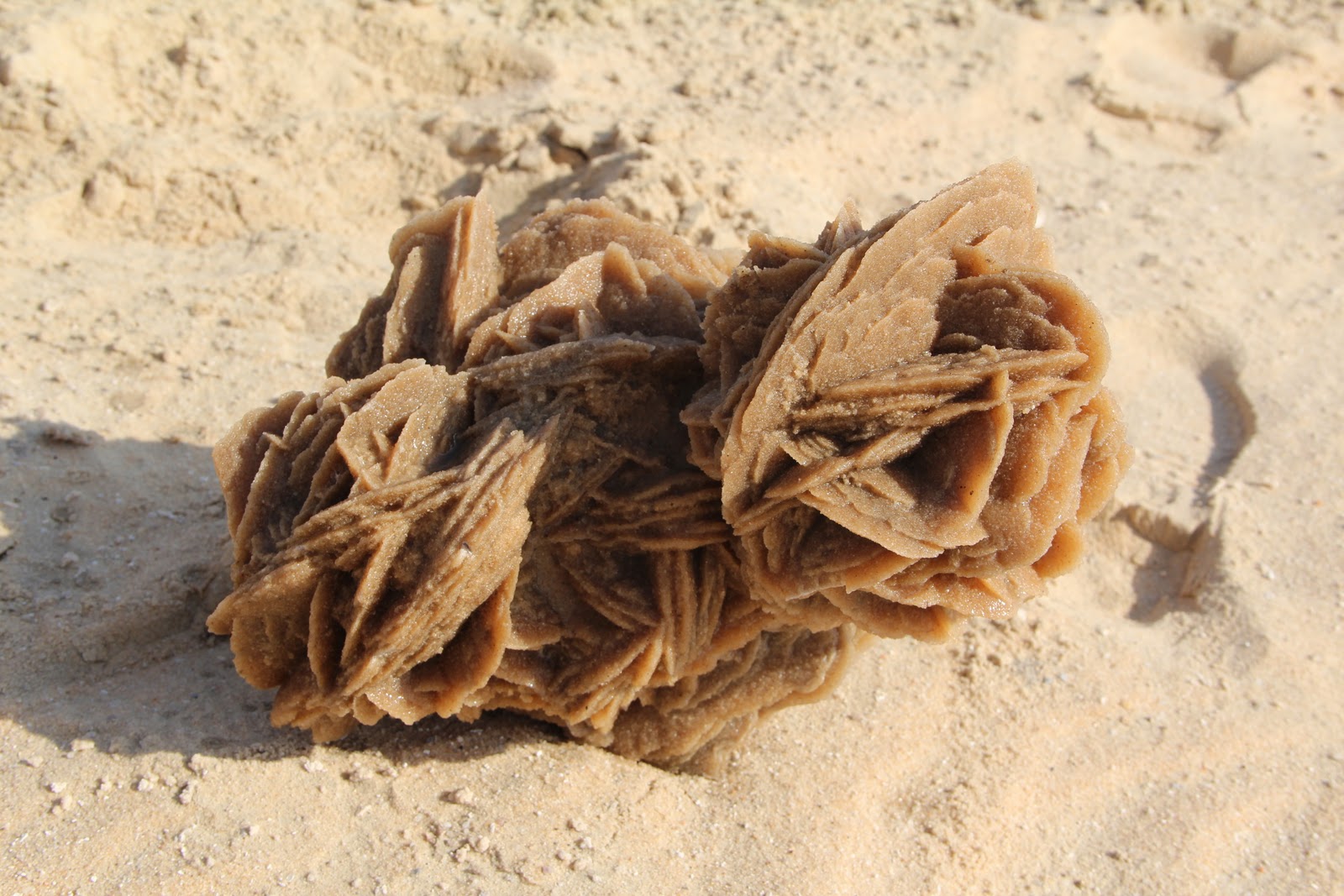 Saudi Scenes: Sand Roses