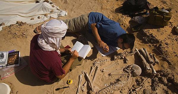 AMIGUINHOS COLORIDOS: Profissões - Arqueólogo