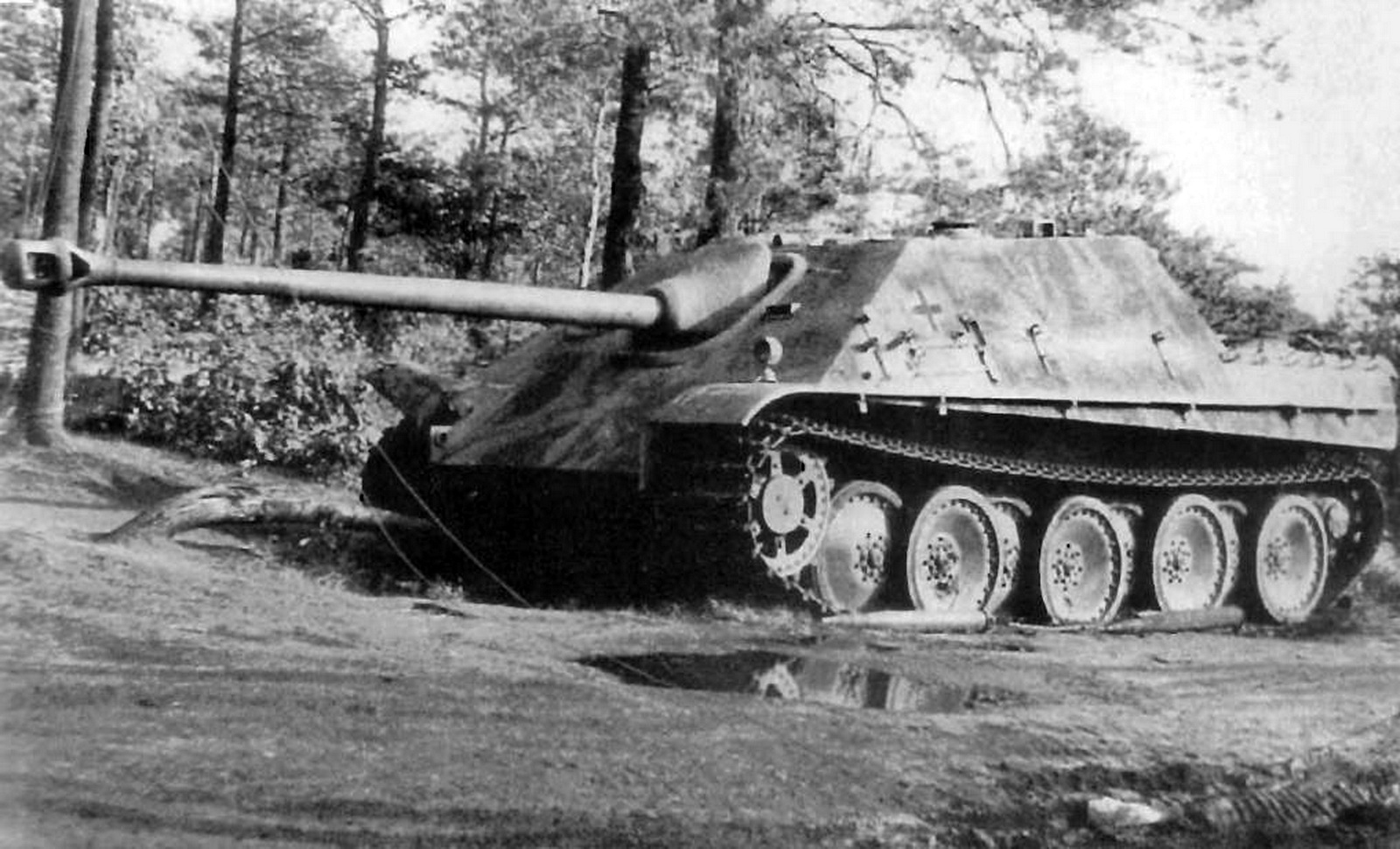 World War II Pictures In Details: Jagdpanther of schwere Panzerjäger ...
