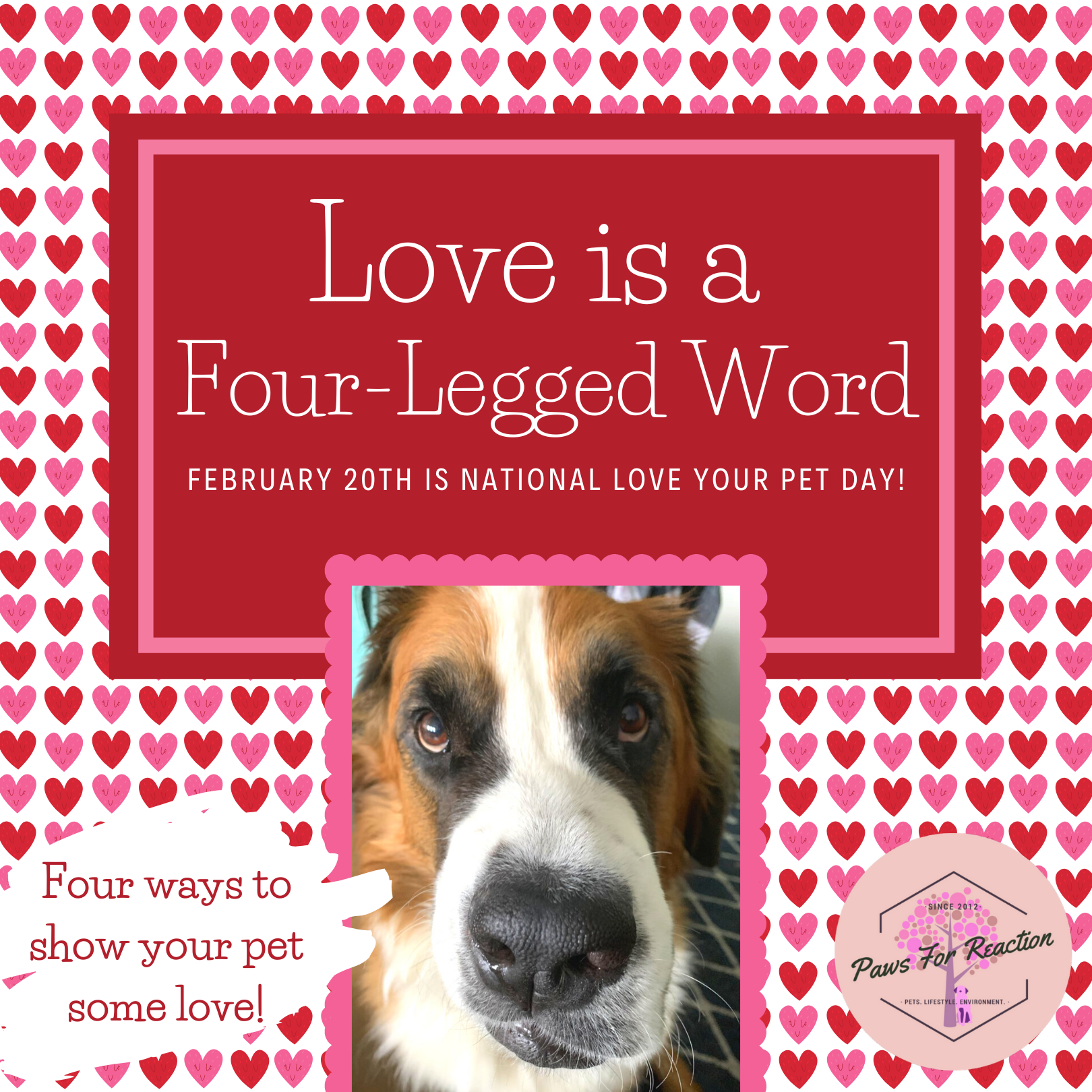 February 20 is National Love Your Pet Day: How to show your pet some ...