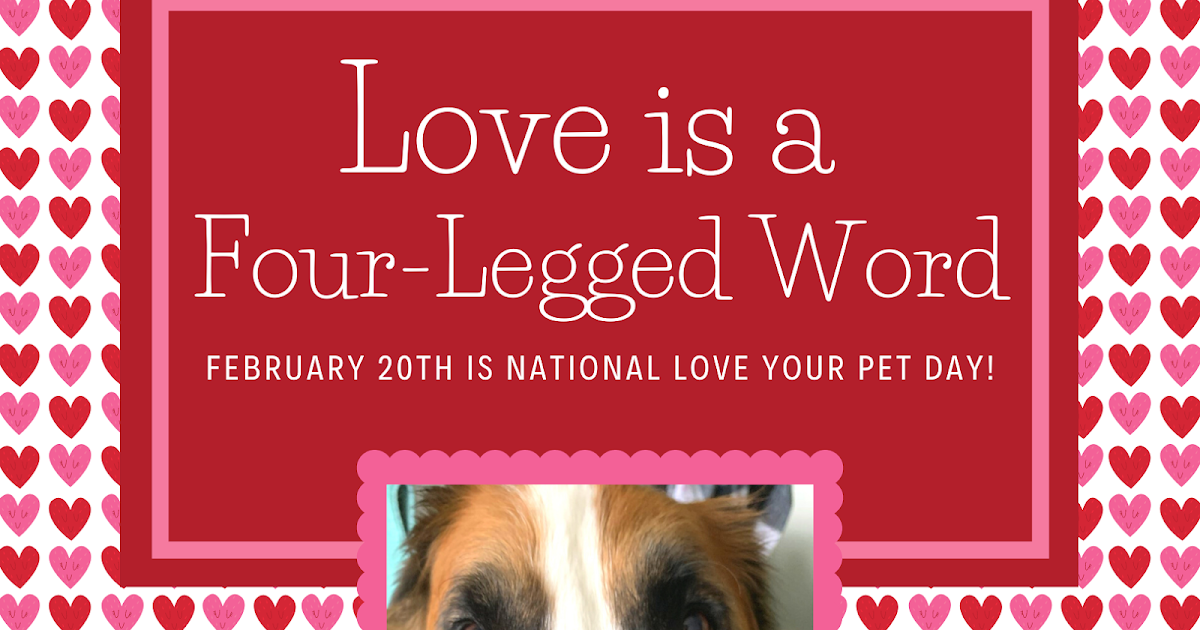 February 20 is National Love Your Pet Day: How to show your pet some ...