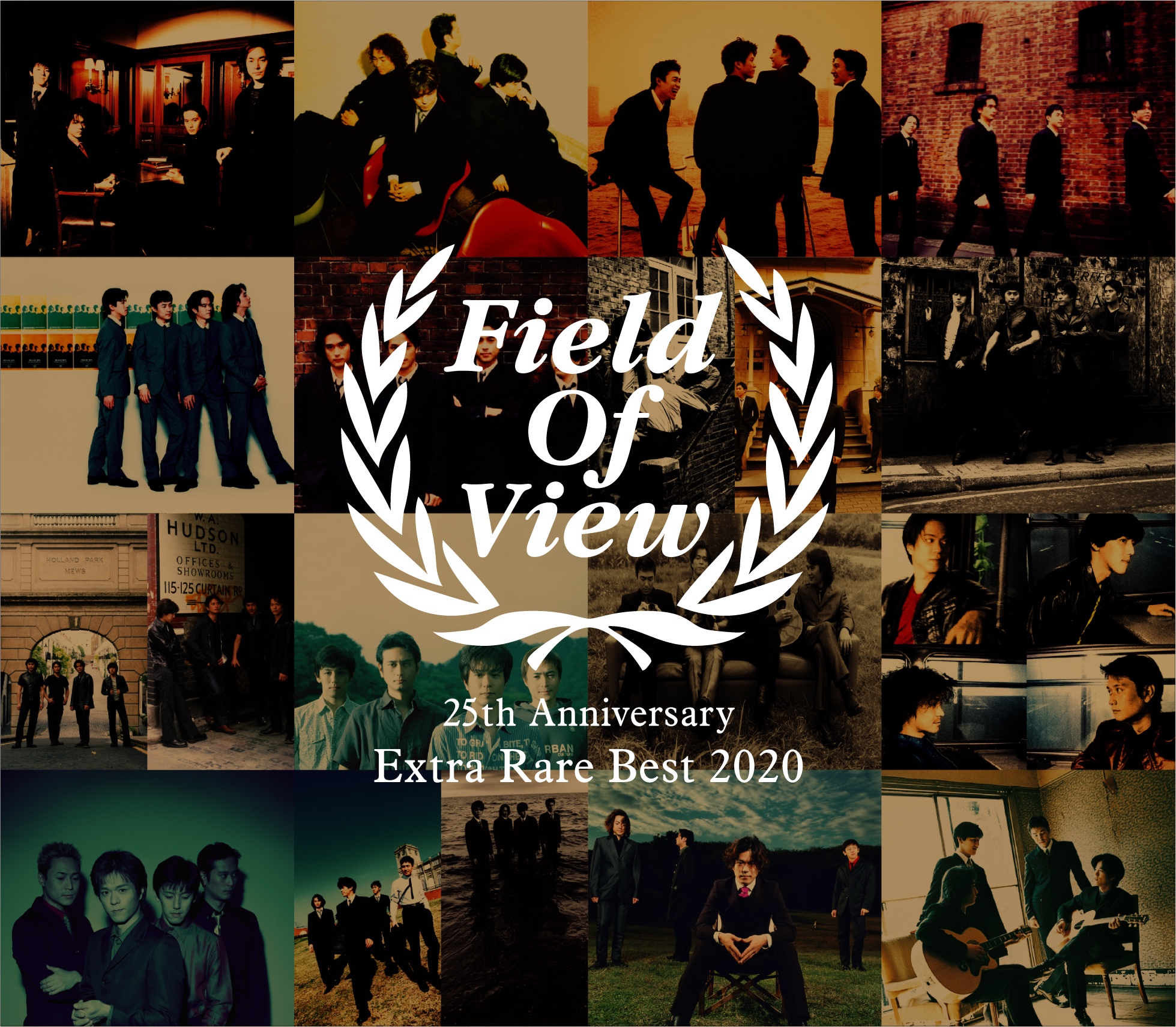 Jp-Rock: the FIELD OF VIEW - FIELD OF VIEW 25th Anniversary Extra Rare ...