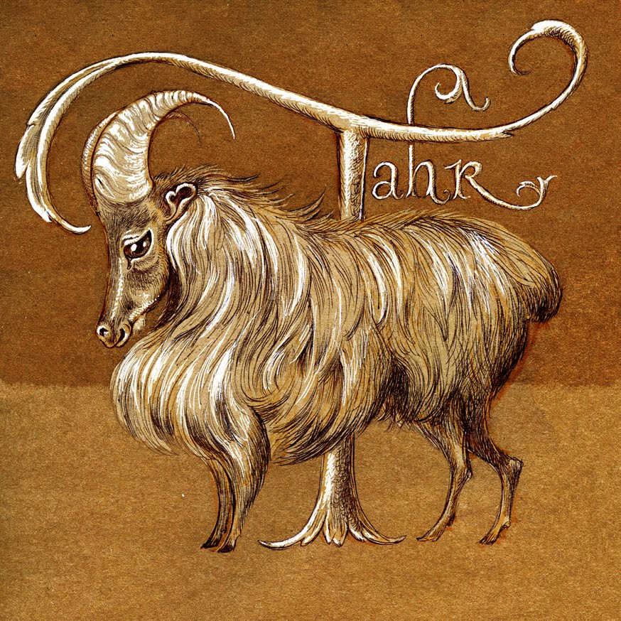 Curious Art Lab: T is for Tahr