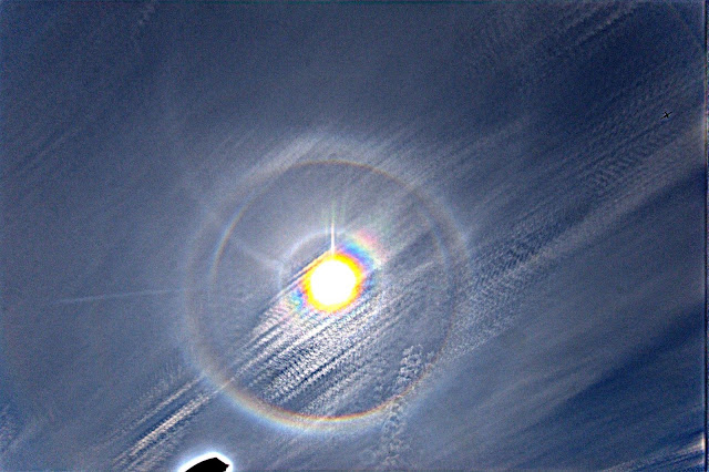 The Halo Vault: Odd radii halos outbreak in the Czech Republic