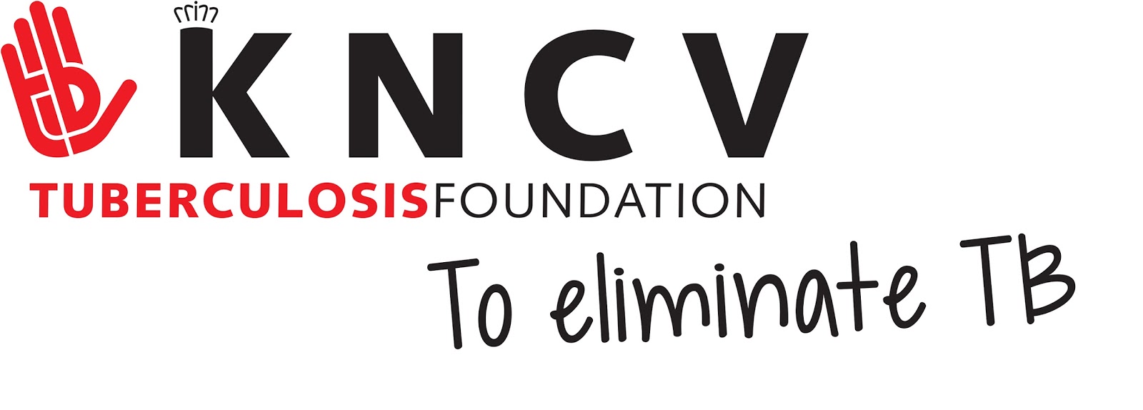 KNCV Tuberculosis Foundation Job Consultant: Governance & Relations ...