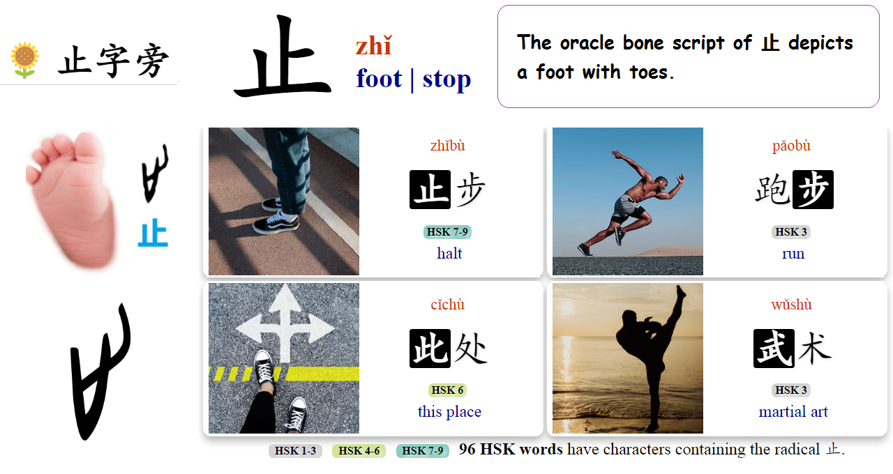 每日中文 Daily Zhongwen: 【Part 1】 № 1 - 21 Chinese Radicals 汉字部首: 手, 爪, 足, 走