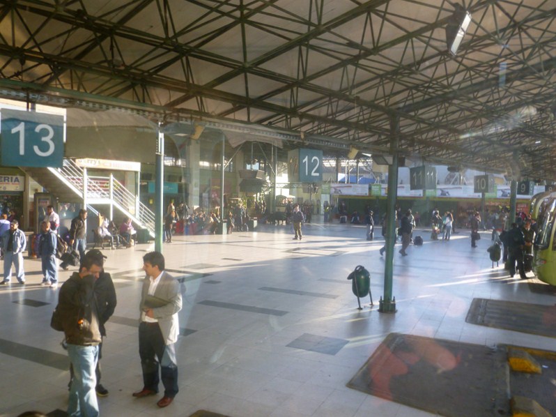 Wandering Weiss Temuco wandering-weiss-temuco