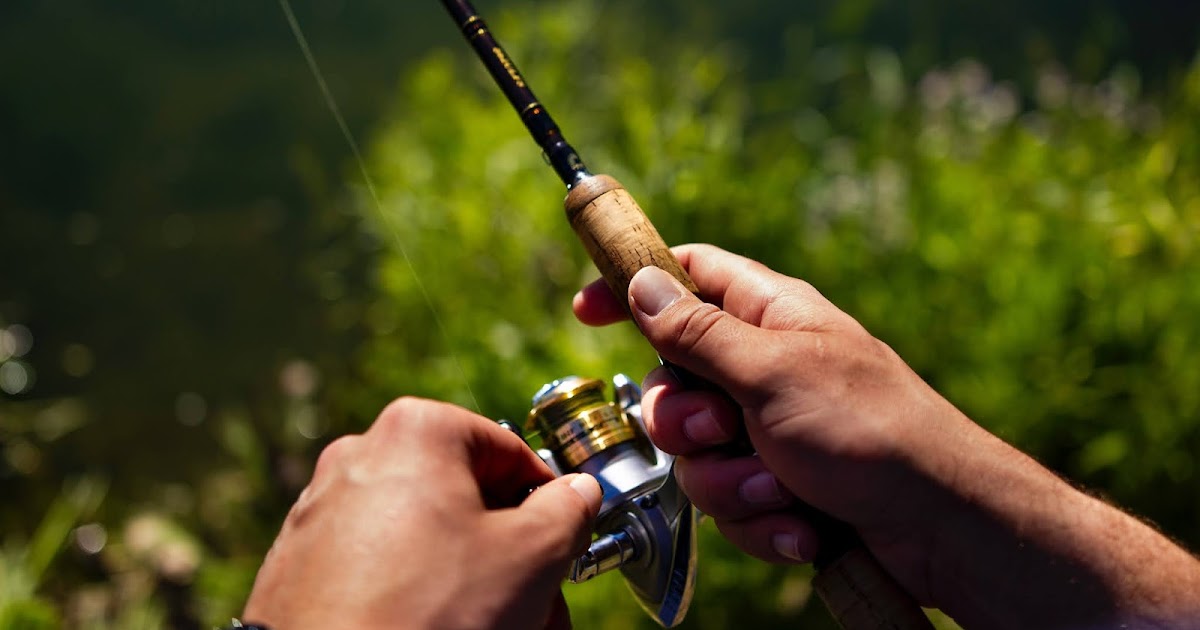 Where Roots And Wings Entwine: Fixing A Broken Fiberglass Fishing Rod