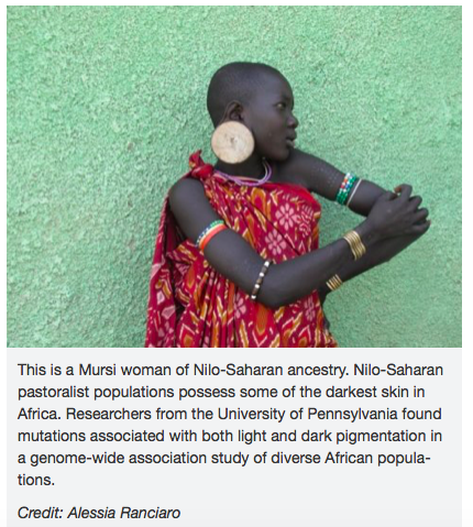 GW Human Evolutionary Genetics : Genes responsible for diversity of ...