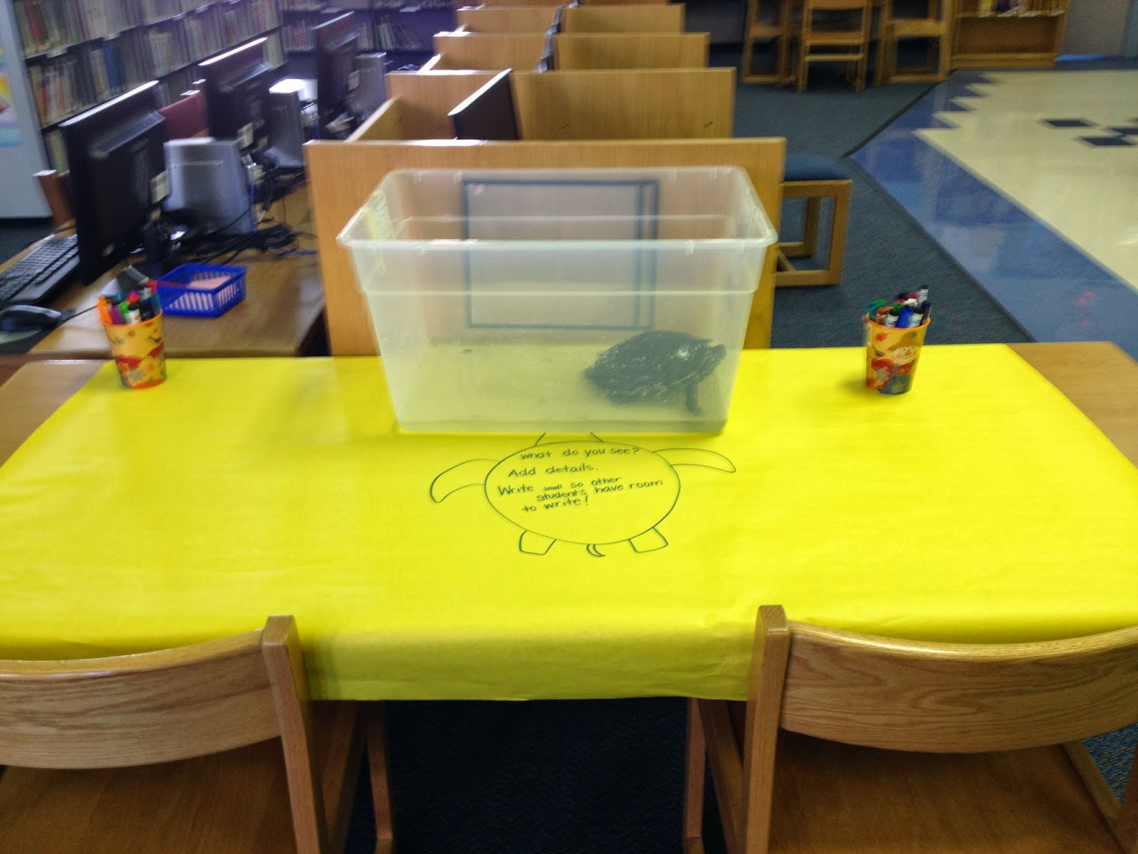 Turtle Library Center - Library Learners