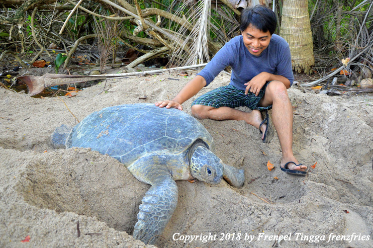 Frenz Fries: Turtle Islands, Tawi-Tawi