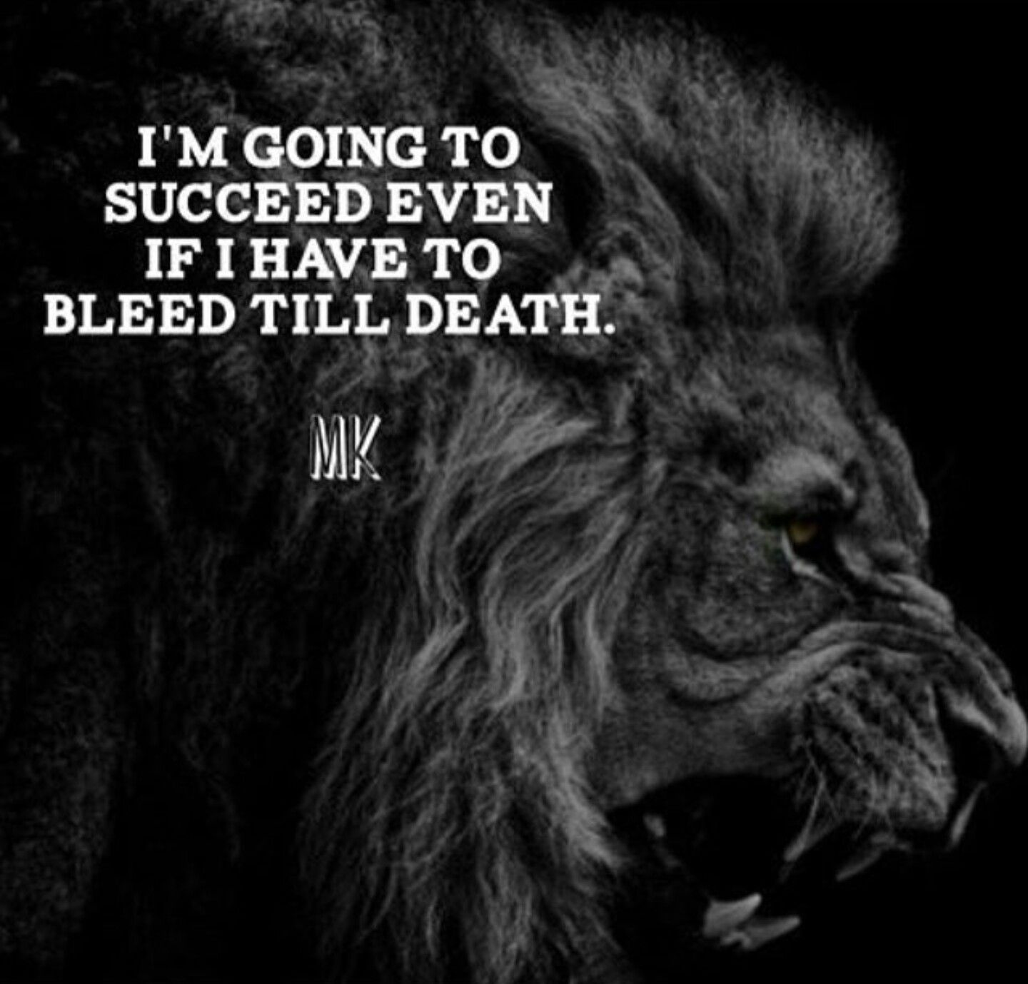 1 Alpha Lion Quotes - Train Hard Gym Quotes