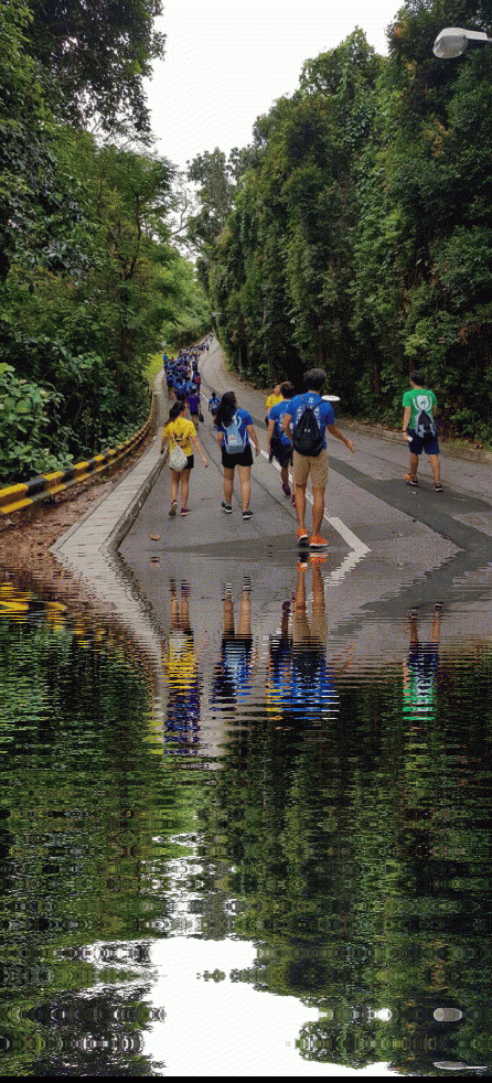 Interesting Green: Walk the talk and donate rice to underprivileged ...