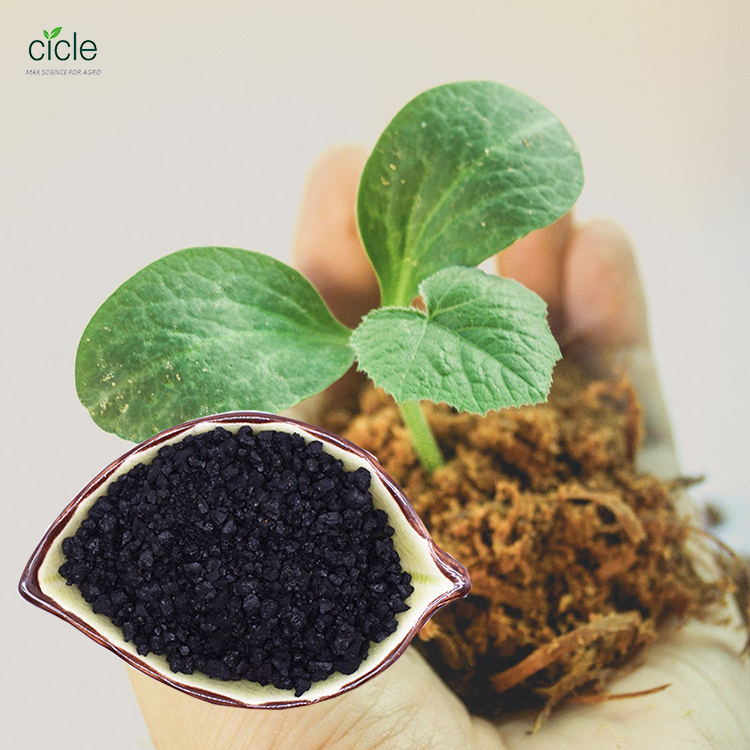 Application method and notice of humic acid fertilizer