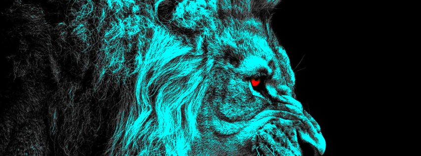 Lion Facebook Covers - Học tiếng nhật, java và mọi thứ